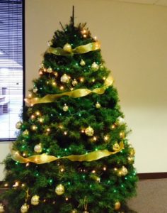 Kicking Off The Magical Month of MyCorp! - Mycorporation